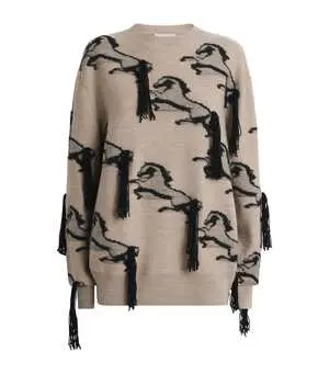 Fringe Sweaters For Women