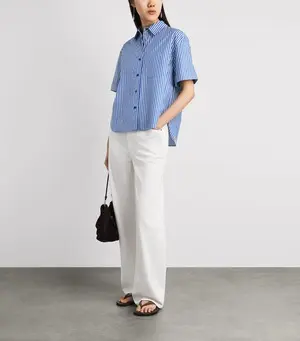Rag & Bone Cotton Poplin Stripe Connie Shirt