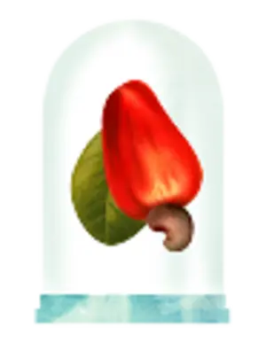 GRANADO Poque Tropical Eau De Parfum