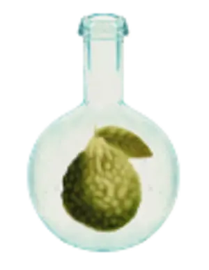 GRANADO Fervo Intenso Eau De Parfum