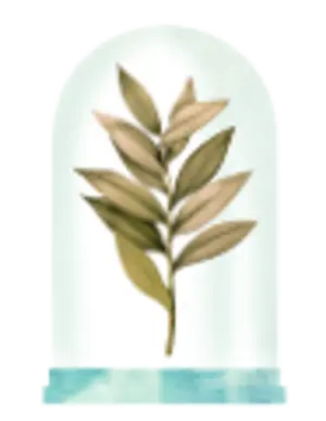 GRANADO Flora Magnífica Eau De Parfum