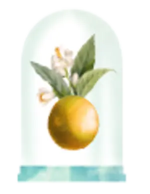 GRANADO Patchouli Eau De Toilette