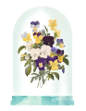 GRANADO Aurora Eau De Toilette