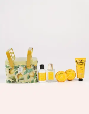 GRANADO Citrus Brasilis Picnic Basket Set - Clear