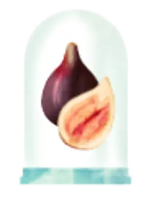 GRANADO Tonka Eau De Toilette