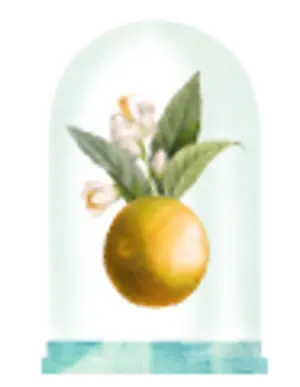 GRANADO Limão Taiti & Néroli Eau De Cologne