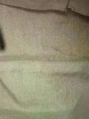 Gucci Gg Canvas Icon Bit Satchel