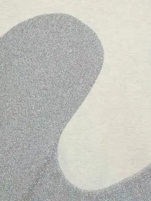 Dior Glitter Panel Hoodie