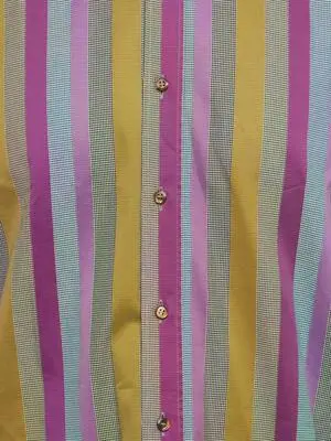 Etro Stripe-pattern Cotton Shirt