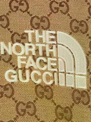 Gucci The North Face X Shearling Jacket