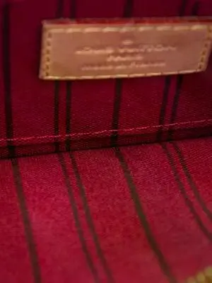 LOUIS VUITTON Monogram Neverfull Pm Pouch