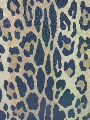 Givenchy Leopard Print Pouch