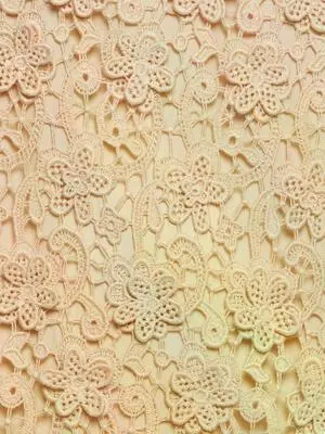 Dolce & Gabbana Lace Zip-up Mini Dress