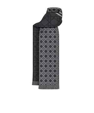 Dior Striped Cannage Scarf