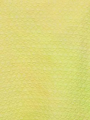 Victoria Beckham Ruffled Midi Dress
