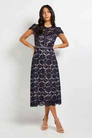WALLIS Lace Fit And Flare Midi Dress - Navy