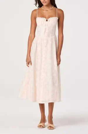 Astr The Label Aubrey Embroidered Sleeveless Maxi Dress Blush