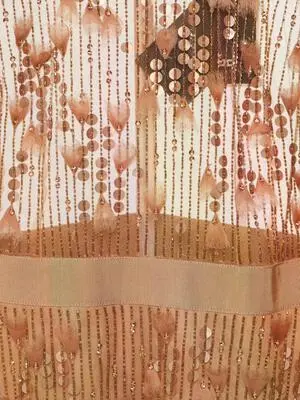 Elisabetta Franchi Embroidered Tulle Dress
