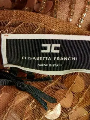 Elisabetta Franchi Embroidered Tulle Dress