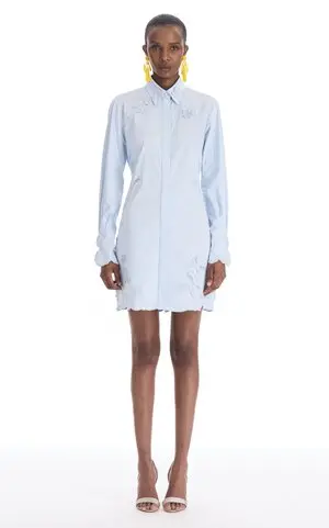 Oscar De La Renta Embroidered Cotton-poplin Sateen Mini Dress