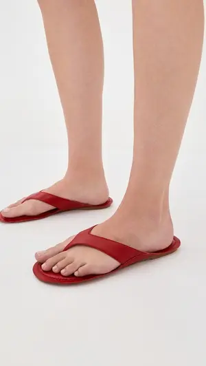 JAMIE HALLER The San Diego Sandals