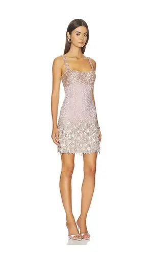 LA FUORI Maris Embroidered Mini Dress