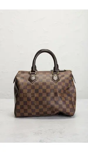 FWRD RENEW Louis Vuitton Damier Ebene Speedy 25 Handbag