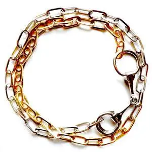Persia Donà Jewelry Horsebit Chain Necklace - Gold