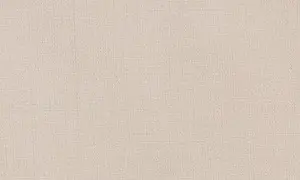 Nordstrom Organic Cotton Percale Pillowcases - Tan Thread