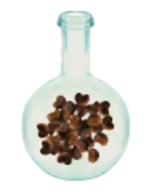 GRANADO Cedro Eau De Toilette