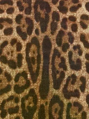 Dolce & Gabbana Leopard-print Mini Dress