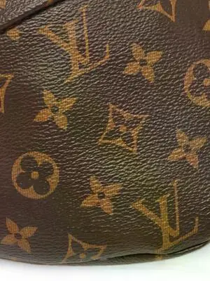 LOUIS VUITTON Monogram Belt Bag