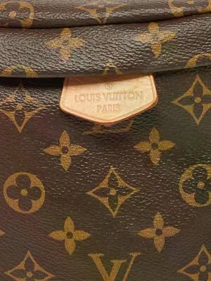 LOUIS VUITTON Monogram Belt Bag