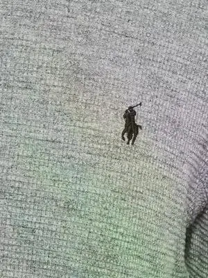 Polo Ralph Lauren Cotton Waffle Knit Crew Neck Sweater