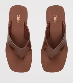 Chloé Striped Wedge Thong Sandals