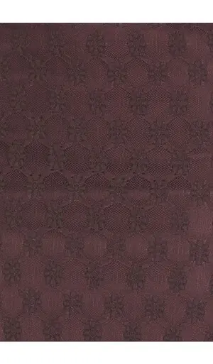 Bardot Karla Lace Dress