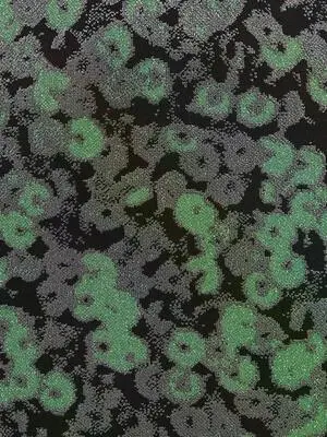 Ph5 Heather Sequin-print Maxi Dress