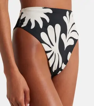 CALA DE LA CRUZ High-rise Bikini Bottoms - Black