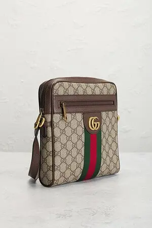 Gucci Ophidia Shoulder Bag