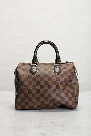 LOUIS VUITTON Damier Ebene Speedy 25 Handbag