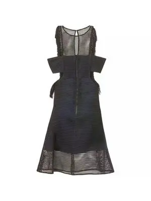 SELF-PORTRAIT Mesh Fringe Dress