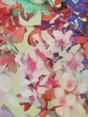 Gucci Floral Print Cowl Neck Top