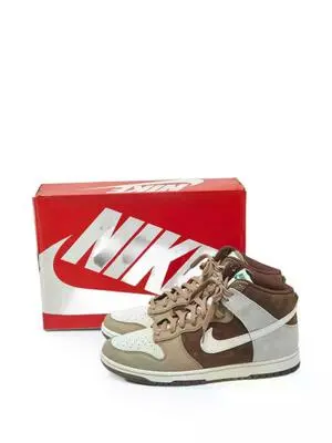 Nike Dunk High-top Sneakers