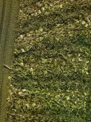 Balmain Longline Tweed Cardigan