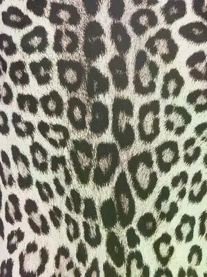 Roberto Cavalli Animal Print Kaftan Top