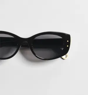 Dior Full Rim Oval Sunglasses