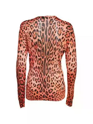Dolce & Gabbana Leopard-print Knit Cardigan