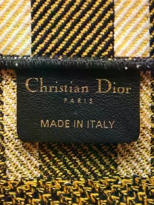 Dior Small Book Tote Bag