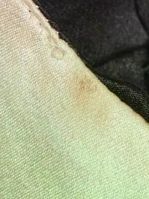 Escada Textured Short-sleeve Jacket
