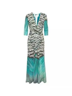 Roberto Cavalli Feather-print V-neck Maxi Dress - Blue